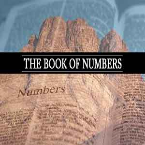Numbers Chapter 1: How to see God’s Massive Provision